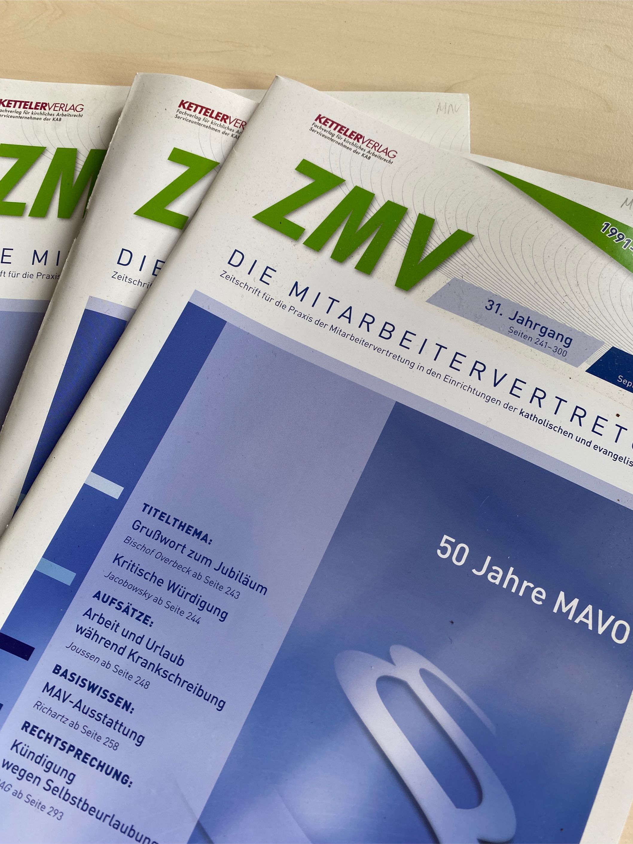 Haupt-MAV /DiAG im Bistum Limburg: Fachliteratur